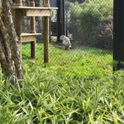 ESSEX COUNTY TURTLE BACK ZOO - 1405 Photos & 398 Reviews - 560 ...