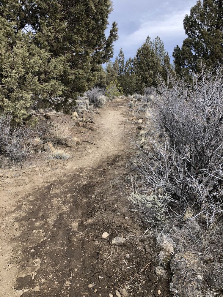 HIDDEN FOREST CAVE - Updated September 2025 - Bend, Oregon - Hiking - Yelp