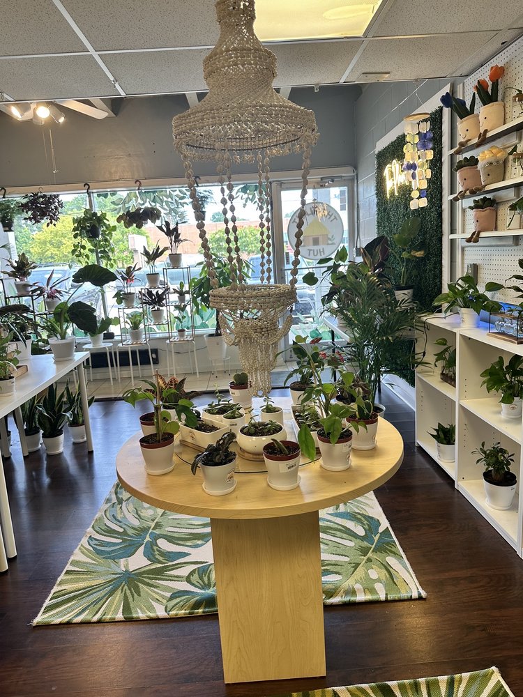 THE PLANT HUT - Updated January 2026 - 335 E Bayview Blvd, Norfolk ...