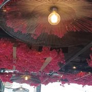 LUCHA ROSA ROOFTOP BAR - 101 Photos & 38 Reviews - 1011 K St NW ...