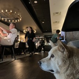 COTTO MODERN ITALIAN - Updated October 2025 - 174 Photos & 140 Reviews ...