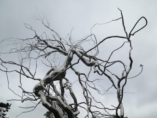 DONALD J HALL SCULPTURE PARK - Updated December 2025 - 40 Photos - 4525 ...