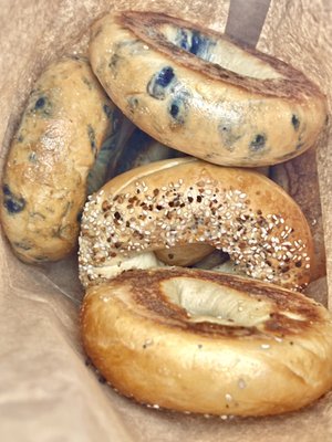 ALL STAR BAGELS - Updated February 2026 - 16 Photos & 65 Reviews - 181 ...