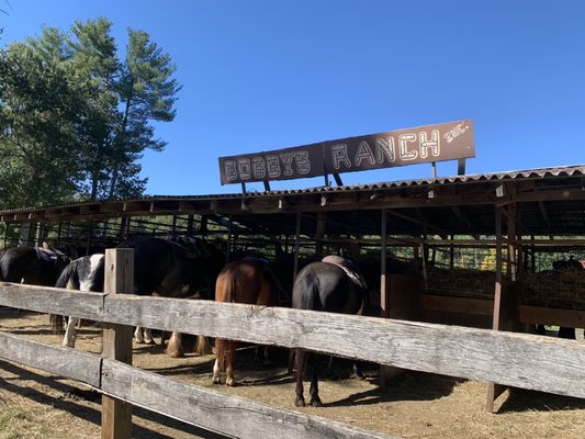 BOBBY’S RANCH - Updated October 2024 - 93 Photos & 94 Reviews - 6 ...