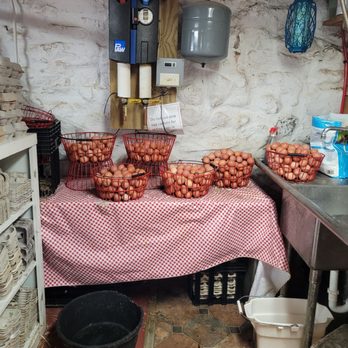 FLAMIG FARM - Updated November 2025 - 393 Photos & 73 Reviews - 7 ...