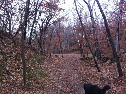 STARING LAKE DOG PARK - Updated September 2025 - 17 Photos - 13800 ...