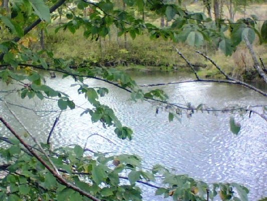 NEALE WOODS NATURE RESERVE - Updated December 2025 - 14323 Edith Marie ...