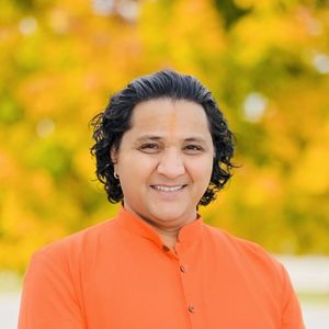 SRI VENKATESWARA SWAMI TEMPLE OF GREATER CHICAGO-BALAJI - Updated ...