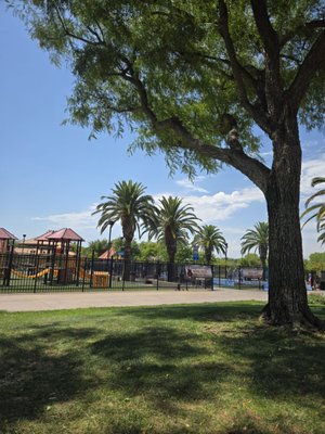 CELEBRATION PARK - Updated December 2025 - 36 Photos & 33 Reviews ...