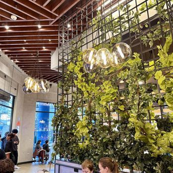 JAVA NATION - SILVER SPRING - Updated November 2024 - 144 Photos & 67 ...