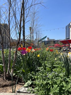 THE PORCH AT 30TH STREET STATION - Updated December 2025 - 19 Photos ...