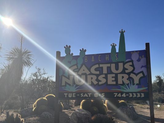 BACH’S CACTUS NURSERY - Updated September 2024 - 288 Photos & 83 ...