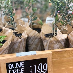 RISING SUN FARMS & PRODUCE - 88 Reviews - Fruits & Veggies - 6329 15th ...