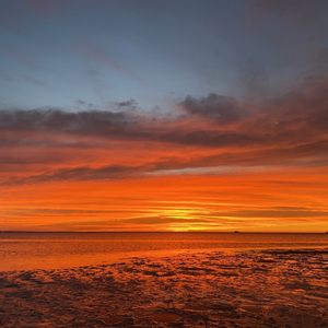 NORTH ANCLOTE SANDBAR - Updated December 2025 - Odessa, Florida ...