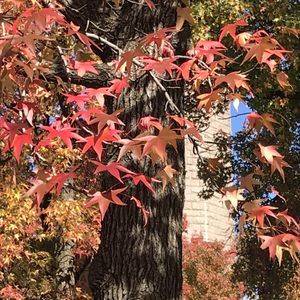 FLOATING POOL AT BARRETTO POINT PARK - Updated September 2025 - 12 ...