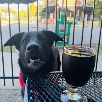 CHATTERBOX PUB - Updated November 2024 - 80 Photos & 226 Reviews - 2229 ...