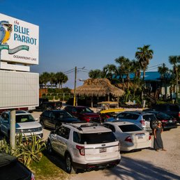 BLUE PARROT OCEAN FRONT CAFE - Updated April 2025 - 395 Photos & 590 ...
