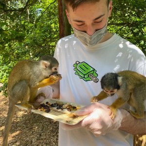 MONKEY JUNGLE - 370 Photos & 188 Reviews - 14805 SW 216th St, Miami ...