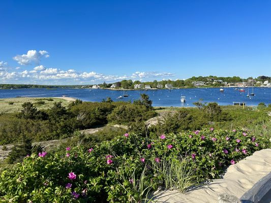 NAPATREE POINT / BEACH - Updated October 2025 - 36 Photos & 14 Reviews ...