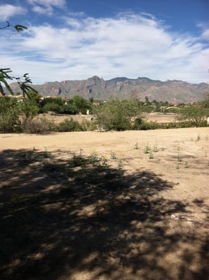 RIO VISTA NATURAL RESOURCES PARK - Updated January 2026 - 22 Photos ...