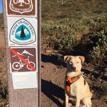 PACIFIC CREST TRAIL AT PENNY PINES - Updated December 2025 - 230 Photos ...