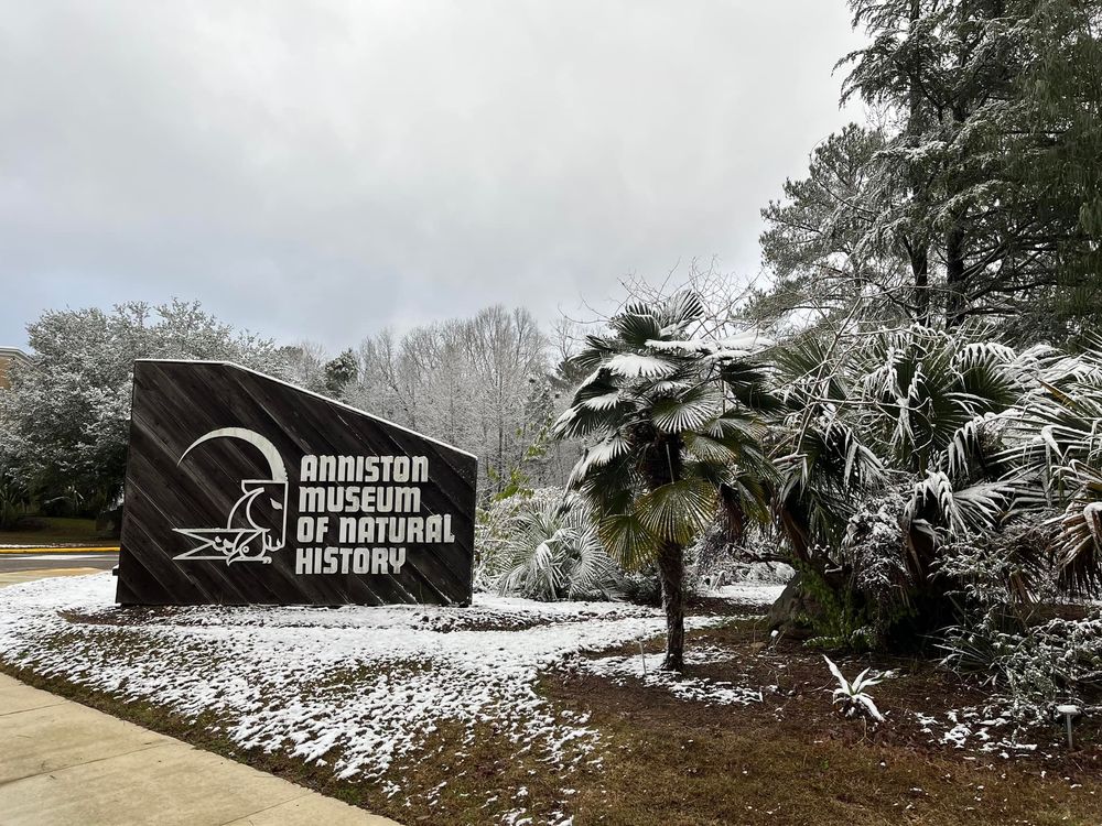 ANNISTON MUSEUM OF NATURAL HISTORY - 23 Photos - 800 Museum Dr ...