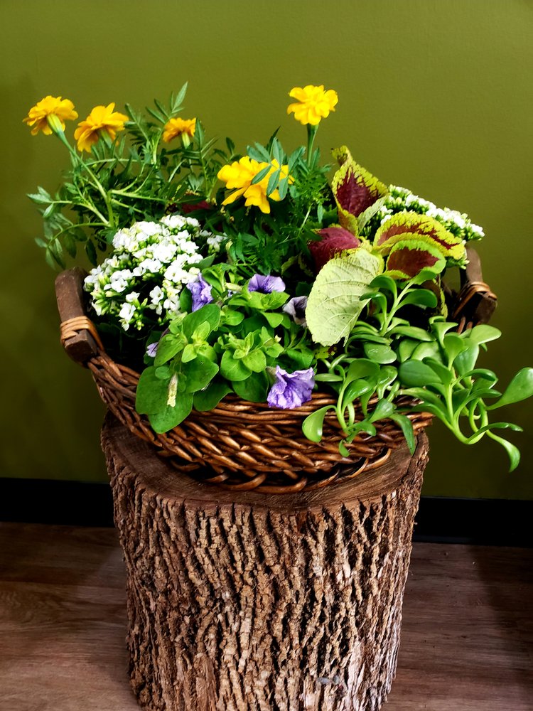 FLOWERS & CHOCOLATE - Updated March 2026 - 63 Photos - 4134 US Rte 9 S ...