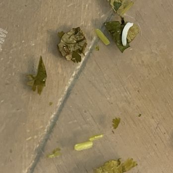 BIRYANI POT - Updated October 2025 - 466 Reviews & 322 Photos - 12407 N ...