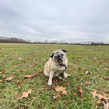 ETRA LAKE PARK - Updated December 2025 - 9 Disbrow Hill Rd, East ...