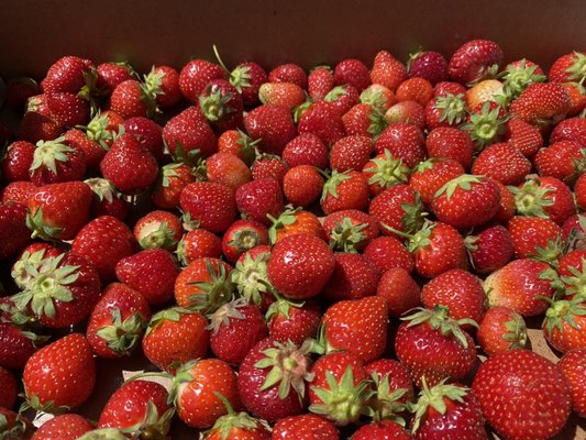 FARMS VIEW ROADSTAND - Updated December 2025 - 194 Photos & 89 Reviews ...