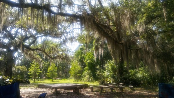 FAIRVIEW-RIVERSIDE STATE PARK - 17 Photos & 16 Reviews - Parks - 119 ...