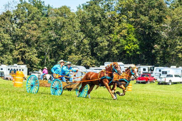 WHISKEY RIDGE RANCH - Updated July 2025 - 22 Photos - 26338 Hwy 84 ...