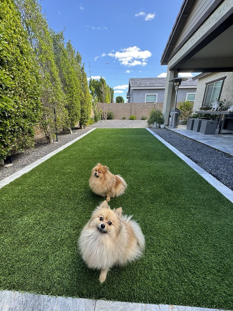 PRISTINE TURF CLEANING - Updated December 2024 - 26 Photos - Mesa, Arizona - Artificial Turf ...