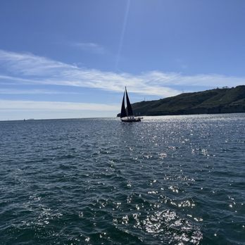 NEXT LEVEL SAILING - Updated May 2024 - 247 Photos & 242 Reviews - 2050 ...