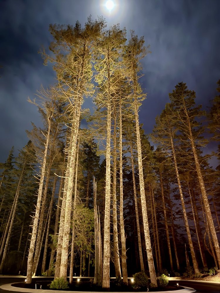 GHOST TREE GRILL - Updated September 2025 - 145 Photos & 42 Reviews ...