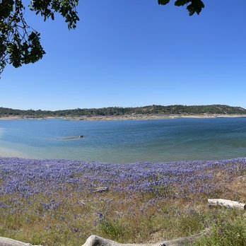 FOLSOM LAKE STATE RECREATION AREA - Updated November 2024 - 479 Photos ...