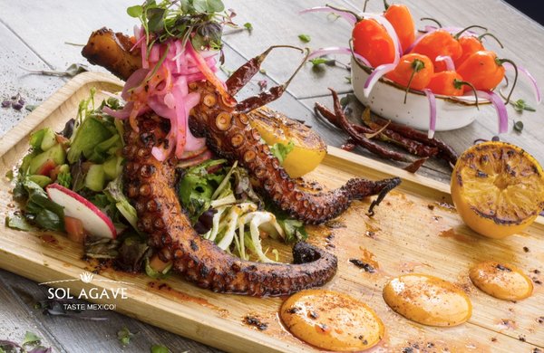 SOL AGAVE - Updated December 2025 - 620 Photos & 643 Reviews - 111 ...