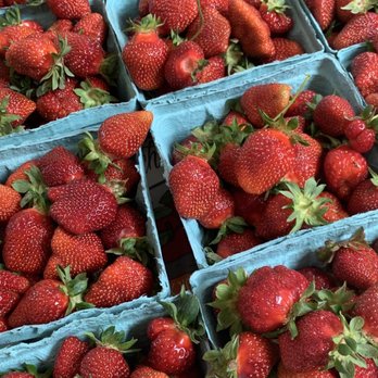 MORELAND FRUIT FARM - Updated December 2025 - 34 Photos - 1558 W ...