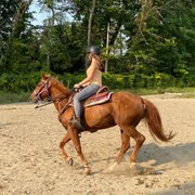 GOLD RUSH FARMS - 30 Photos & 10 Reviews - 5 Silver Hill Rd, Easton, CT ...