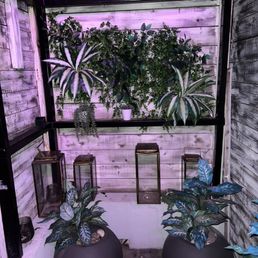 SUGAR ROOM - Updated July 2025 - 161 Photos & 172 Reviews - 5120 ...