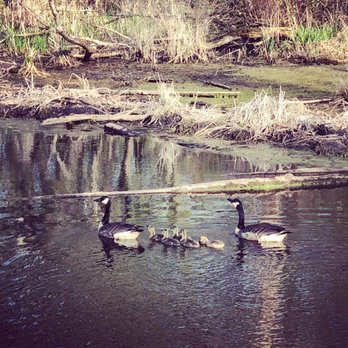 VOLO BOG STATE NATURAL AREA - Updated August 2025 - 63 Photos & 34 ...