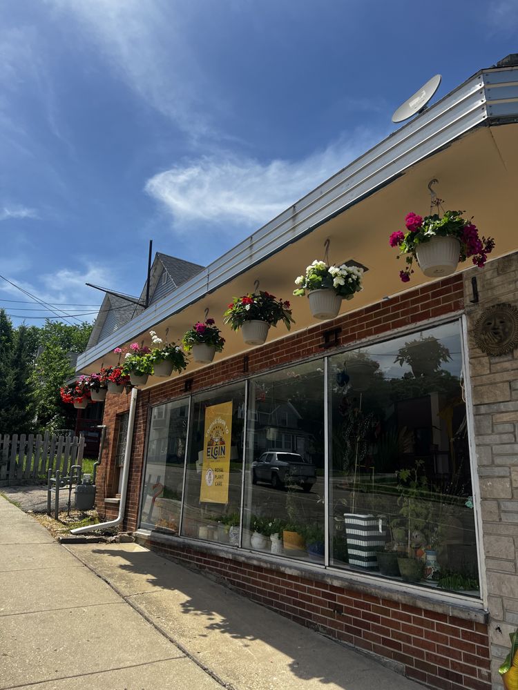 ROYAL PLANT CARE - Updated September 2024 - 51 S Spring St, Elgin ...