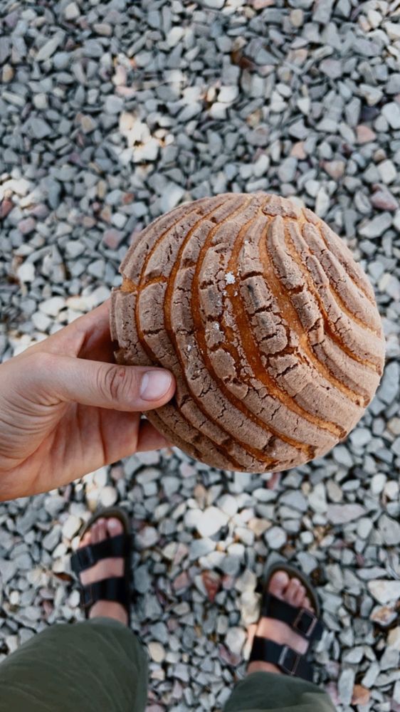 EL PRADO BAKERY - Updated May 2025 - 110 Photos & 186 Reviews - 3501 ...