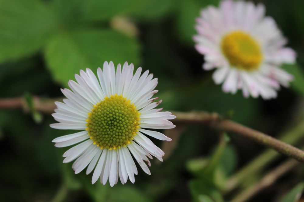 WATERWISE COMMUNITY CENTER - Updated December 2025 - 78 Photos & 16 ...