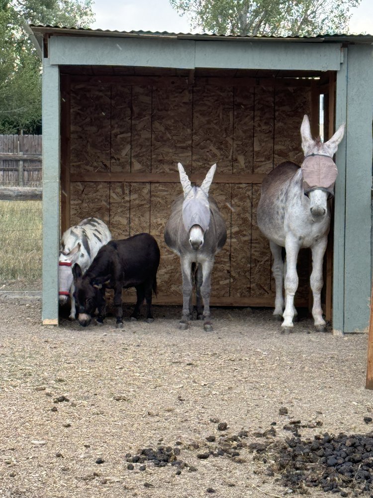 JB’S ROAMING RANCH - Updated October 2025 - 20 Photos - 1727 S County ...