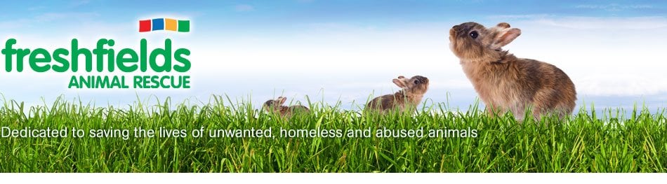 FRESHFIELDS ANIMAL RESCUE CENTRE - Updated July 2025 - East Lane ...