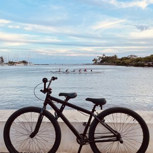 MCCULLY BICYCLE & SPORTING GOODS - Updated December 2025 - 175 Photos ...