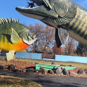 FRESHWATER FISHING HALL OF FAME AND MUSEUM - 125 Photos & 23 Reviews ...