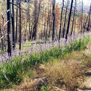 DEVIL’S PUNCHBOWL NATURAL AREA - 604 Photos & 125 Reviews - 28000 Devil ...