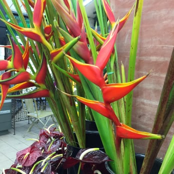 METROPOLITAN PLANT & FLOWER EXCHANGE - Updated December 2025 - 56 ...